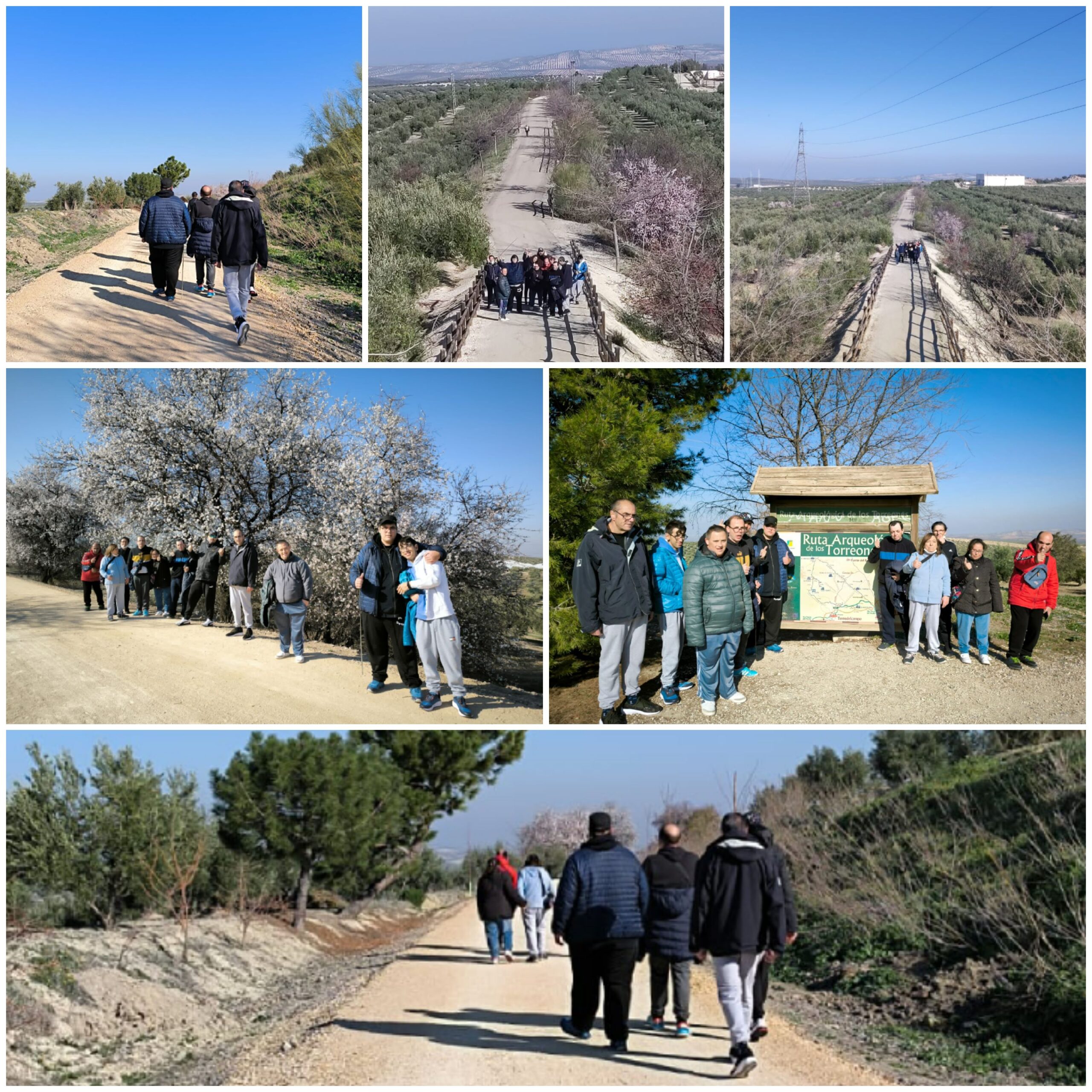 ALHUCEMA Y EL DRAGÓN ROJO|Residencia Entrepinares
